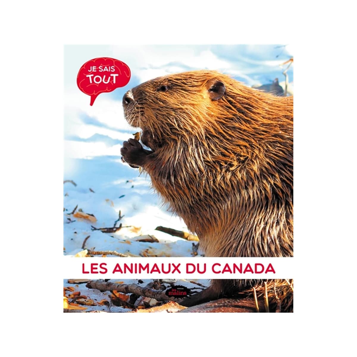 Je sais tout Les animaux du Canada – Copie extra