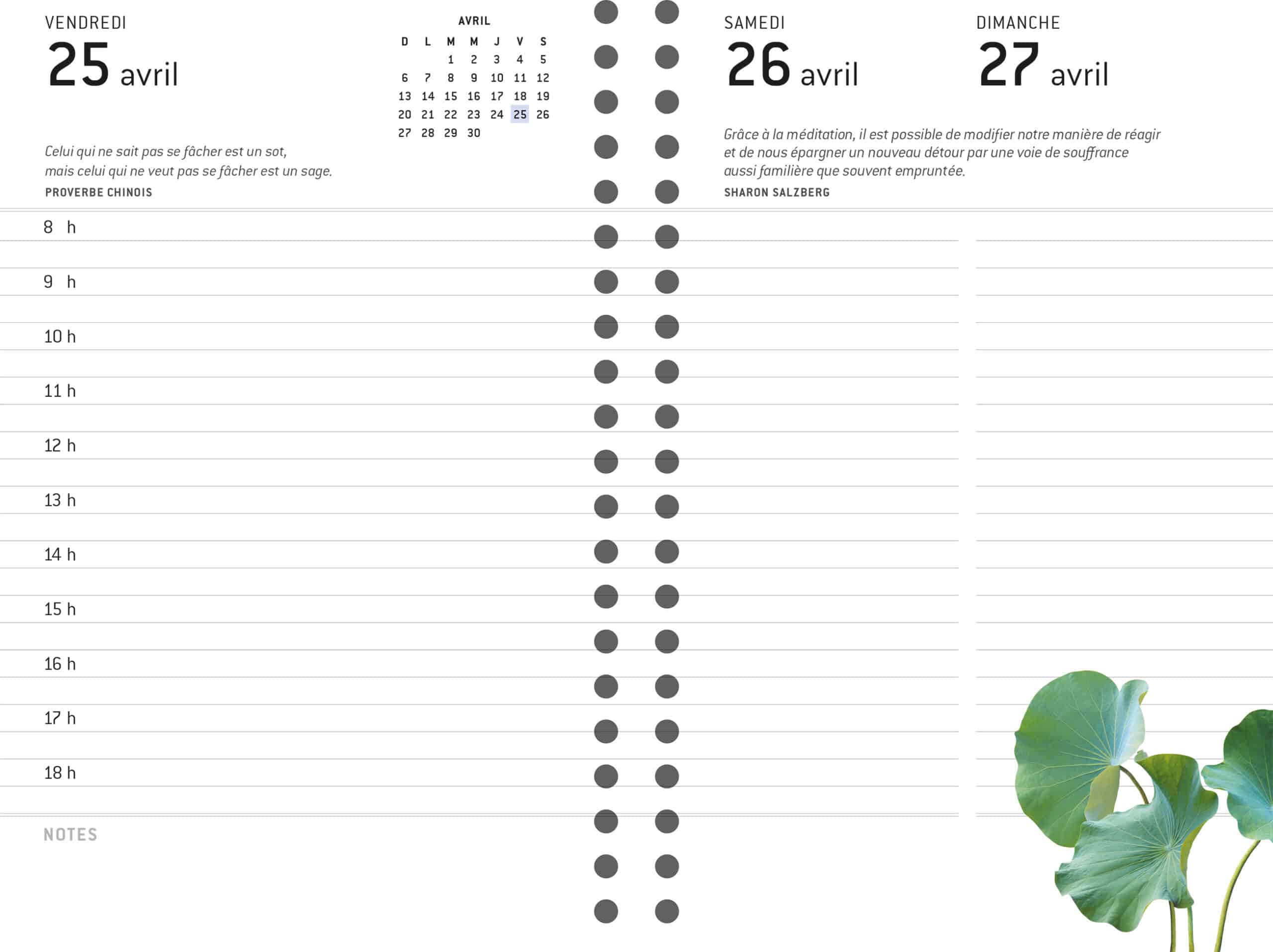 Agenda 2025 zen – Copie extra