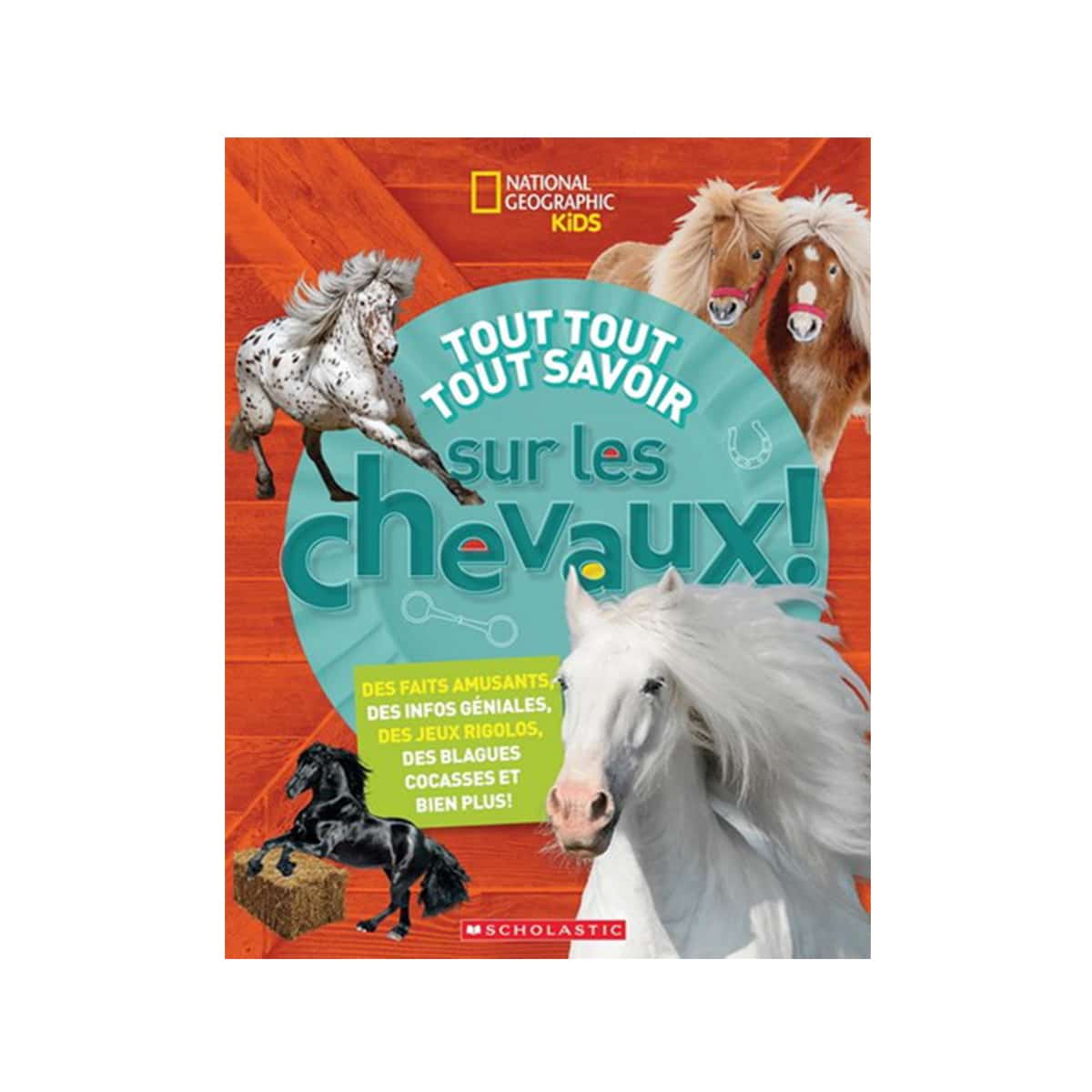 Tout tout tout savoir sur les chevaux! – Copie extra