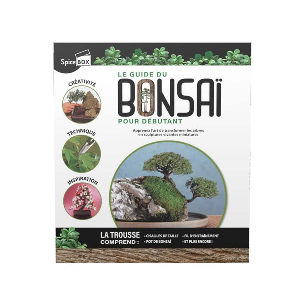 Le guide du Bonsaï pour débutant – Copie extra