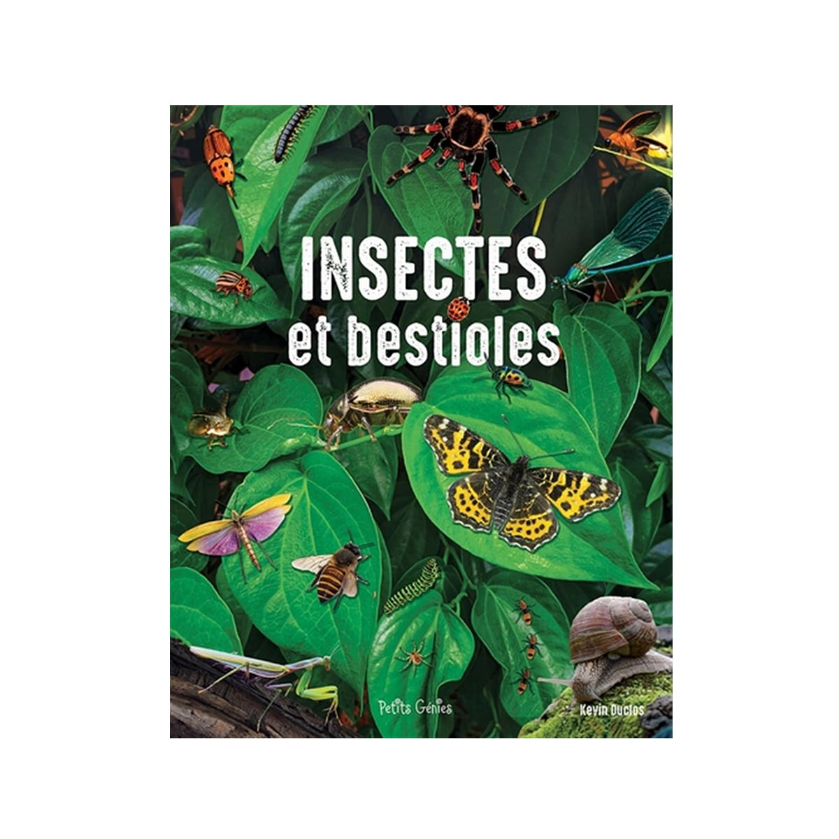 Insectes et bestioles – Copie extra